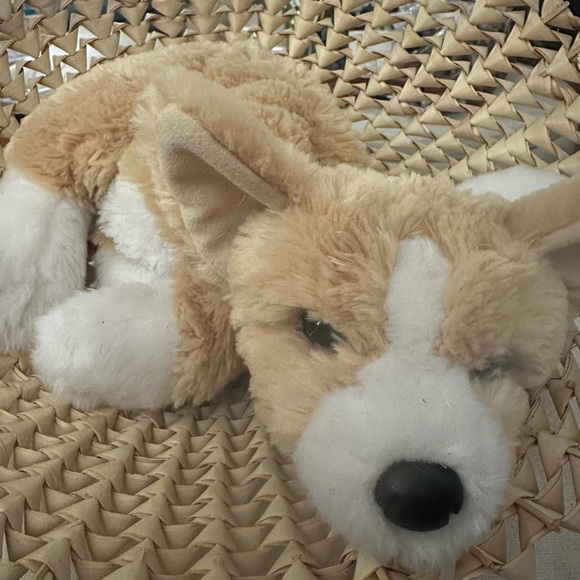 Douglas | Toys | Douglas Super Soft Rudy Corgi Dog Puppy Pup Plush ...